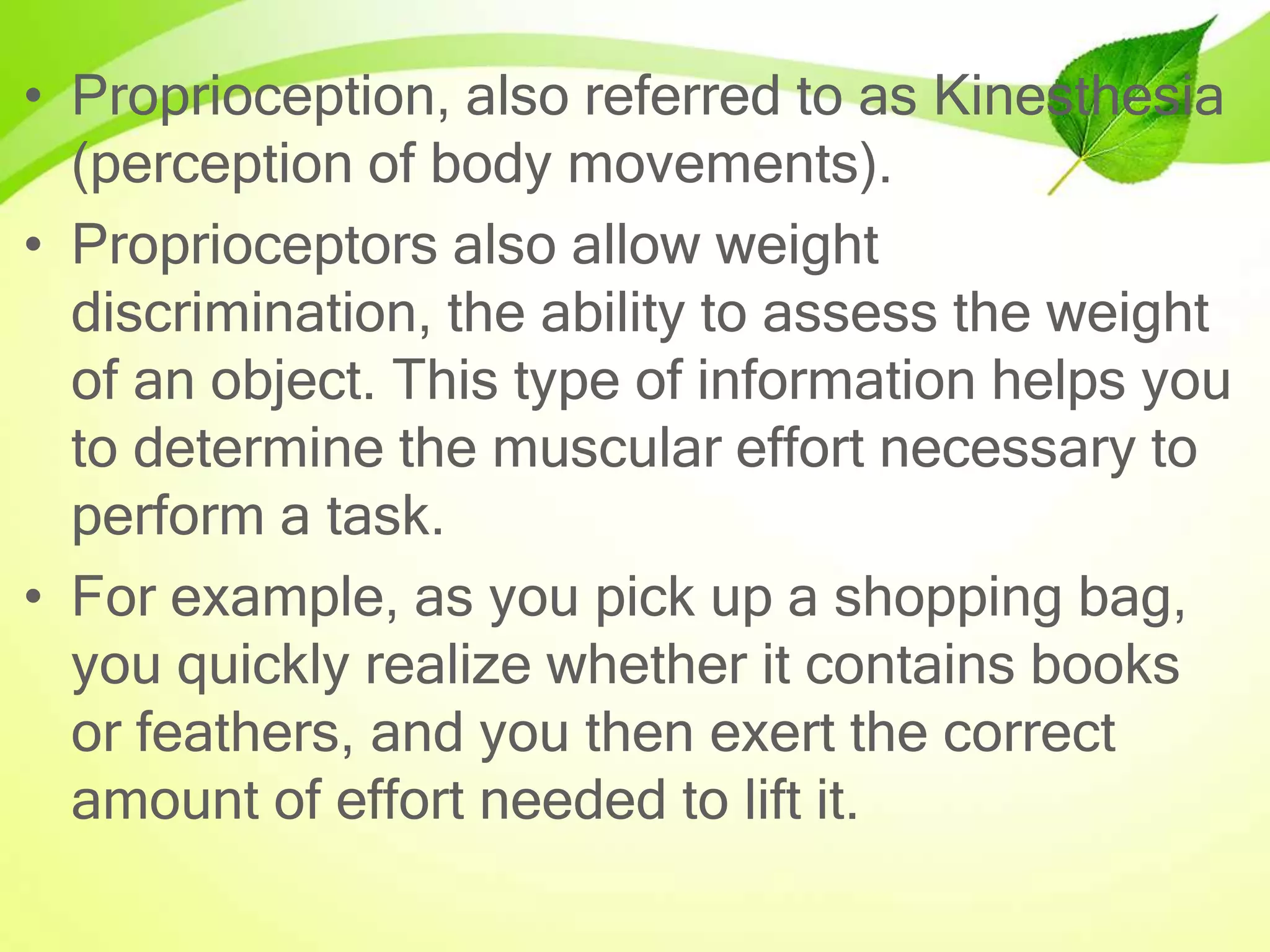 Muscle spindle & muscle c tone | PPTX