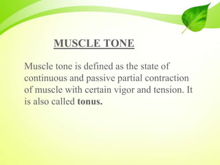 Muscle spindle & muscle c tone | PPTX