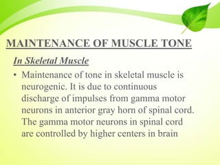 Muscle spindle & muscle c tone | PPTX