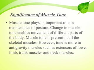 Muscle spindle & muscle c tone | PPTX