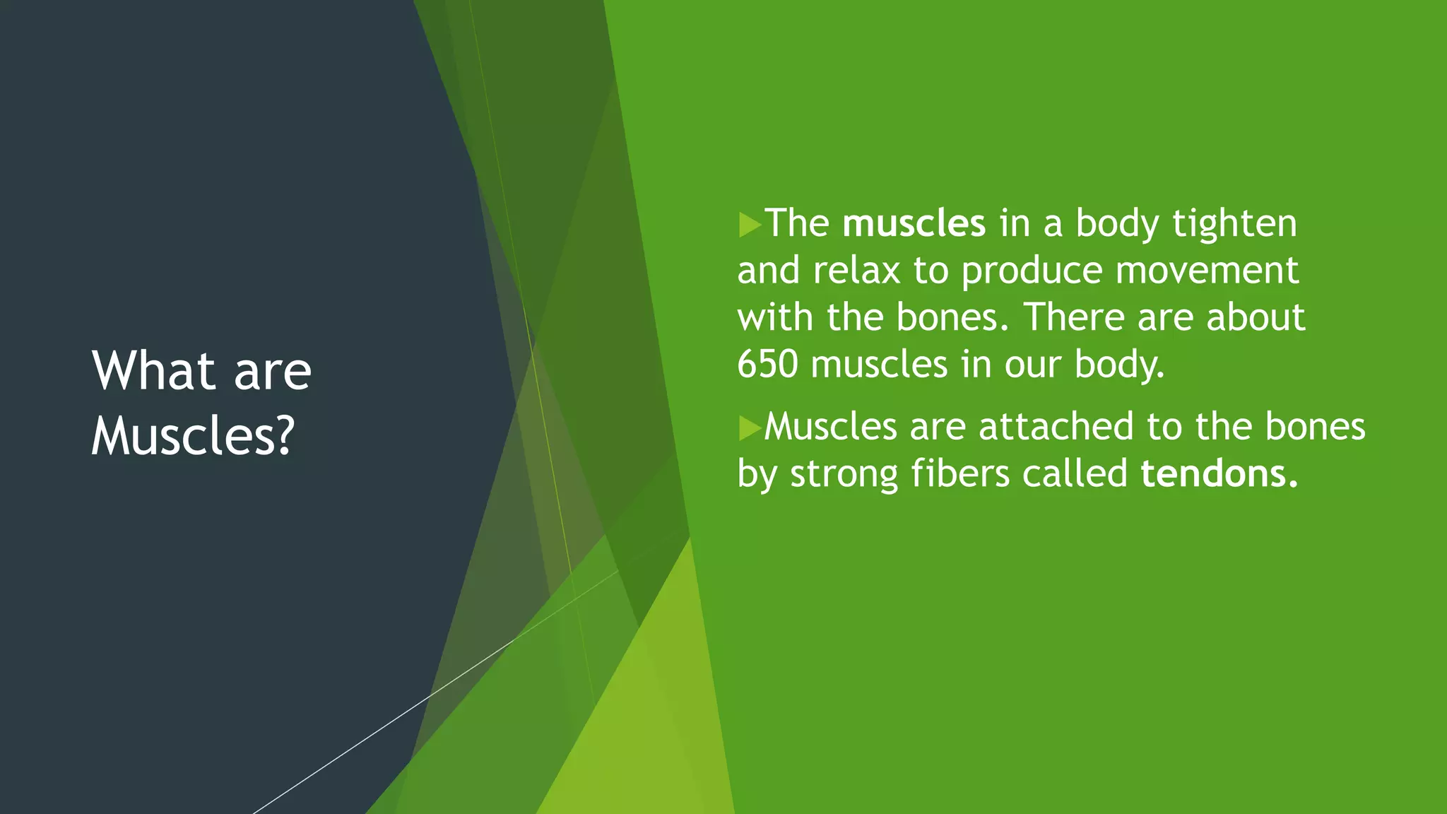 Muscles(Voluntary and Involuntary) | PPTX