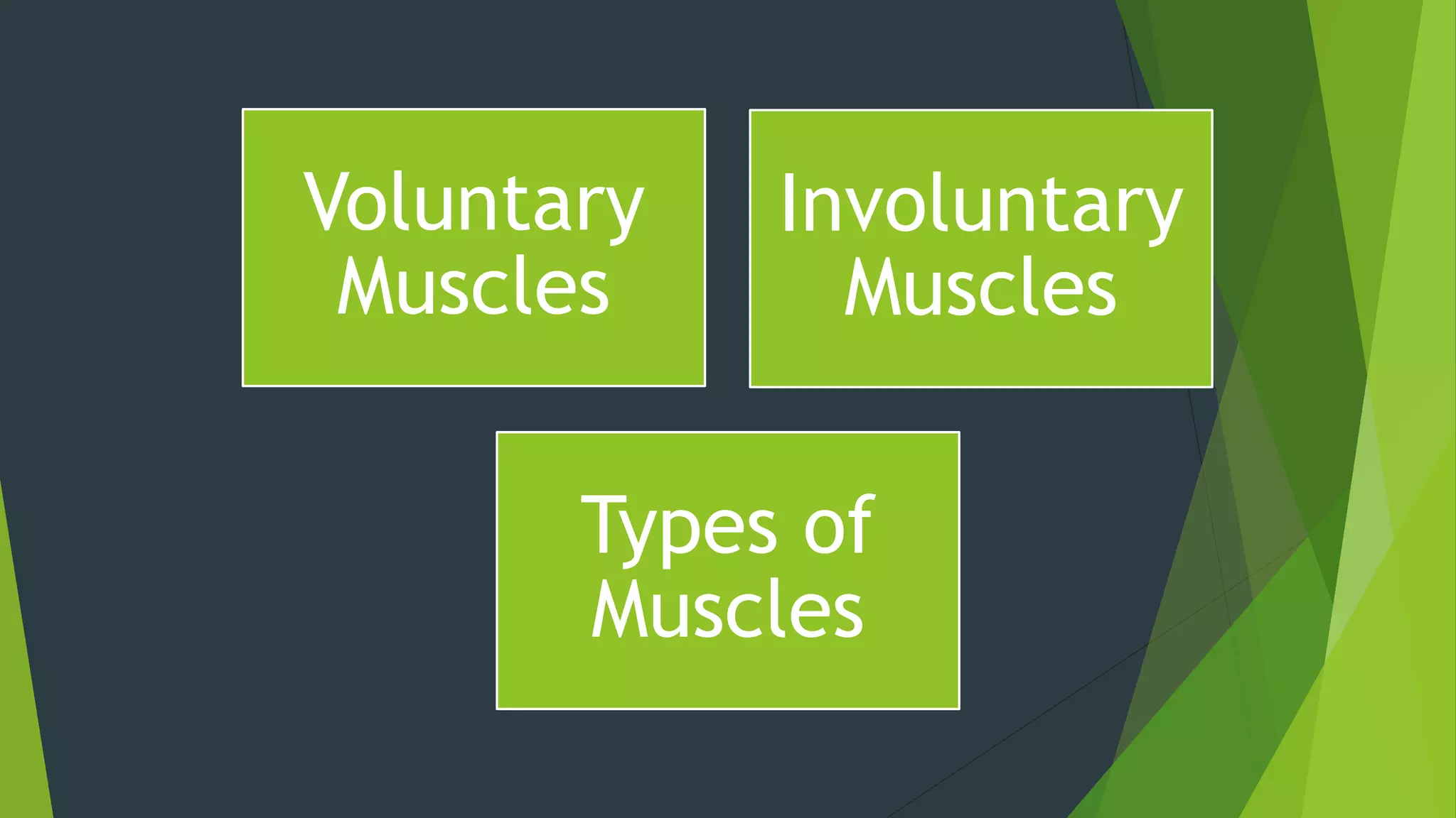 Muscles(Voluntary and Involuntary) | PPTX