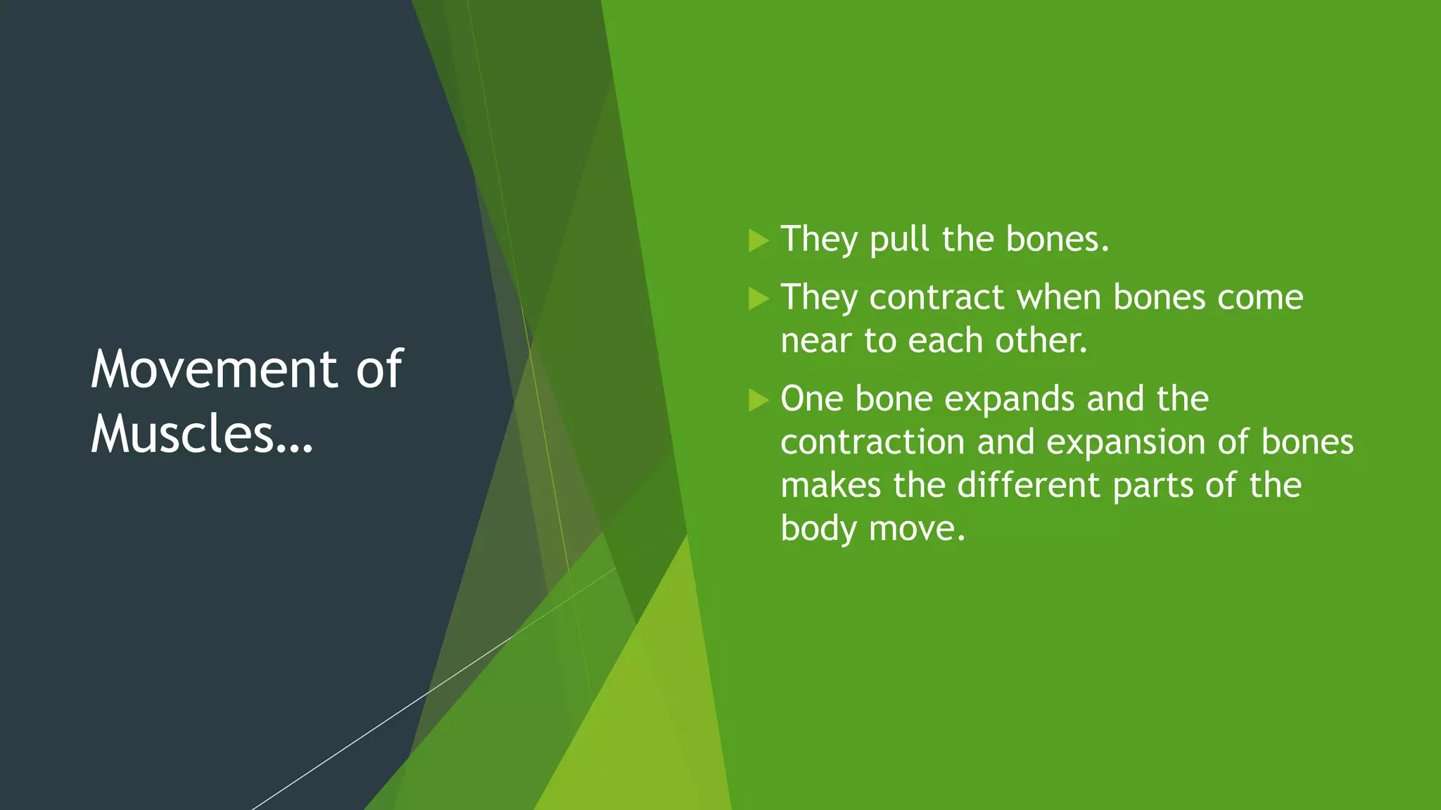 Muscles(Voluntary and Involuntary) | PPTX