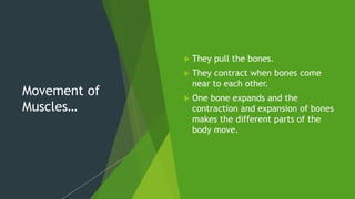 Muscles(Voluntary and Involuntary) | PPTX