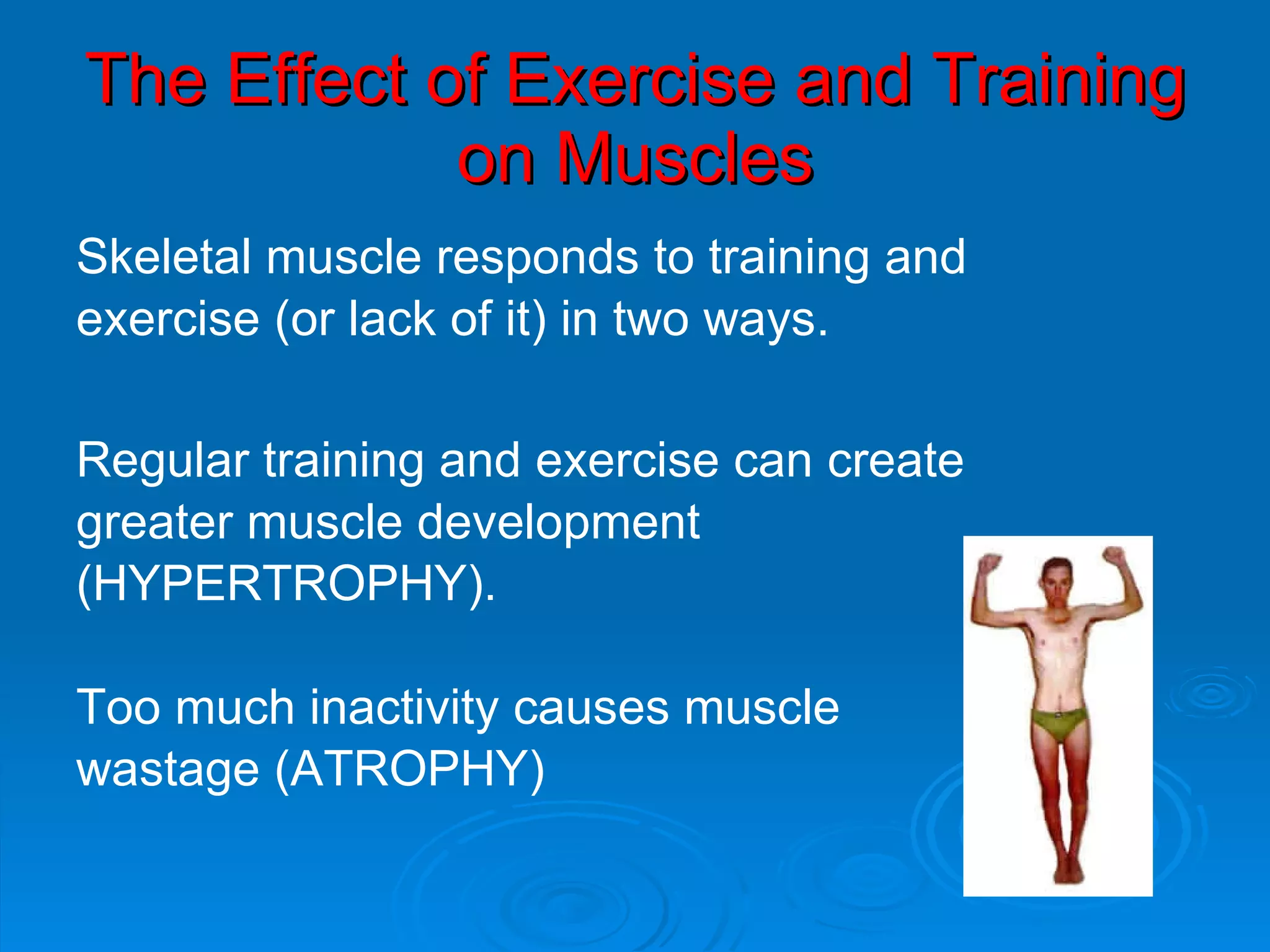 Muscles ppt aw | PPT | Physical Therapy | Wellness