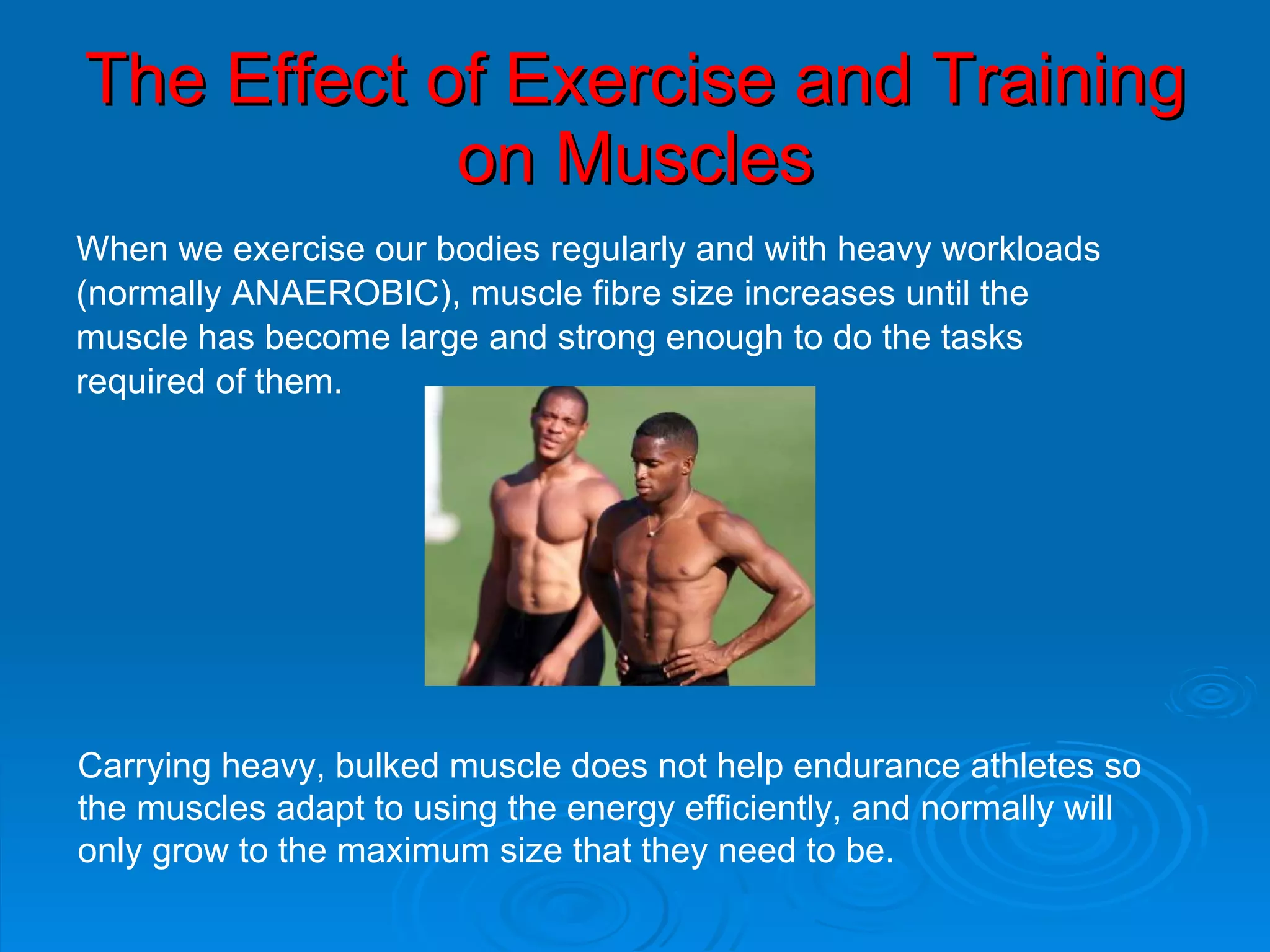 Muscles ppt aw | PPT | Physical Therapy | Wellness