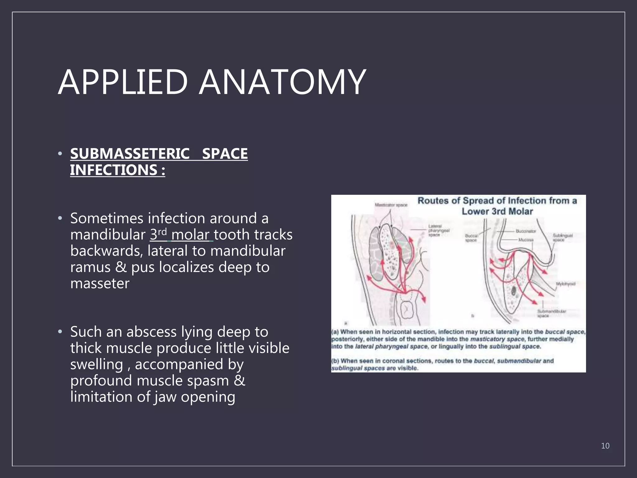 MUSCLES OF MASTICATION | PPTX