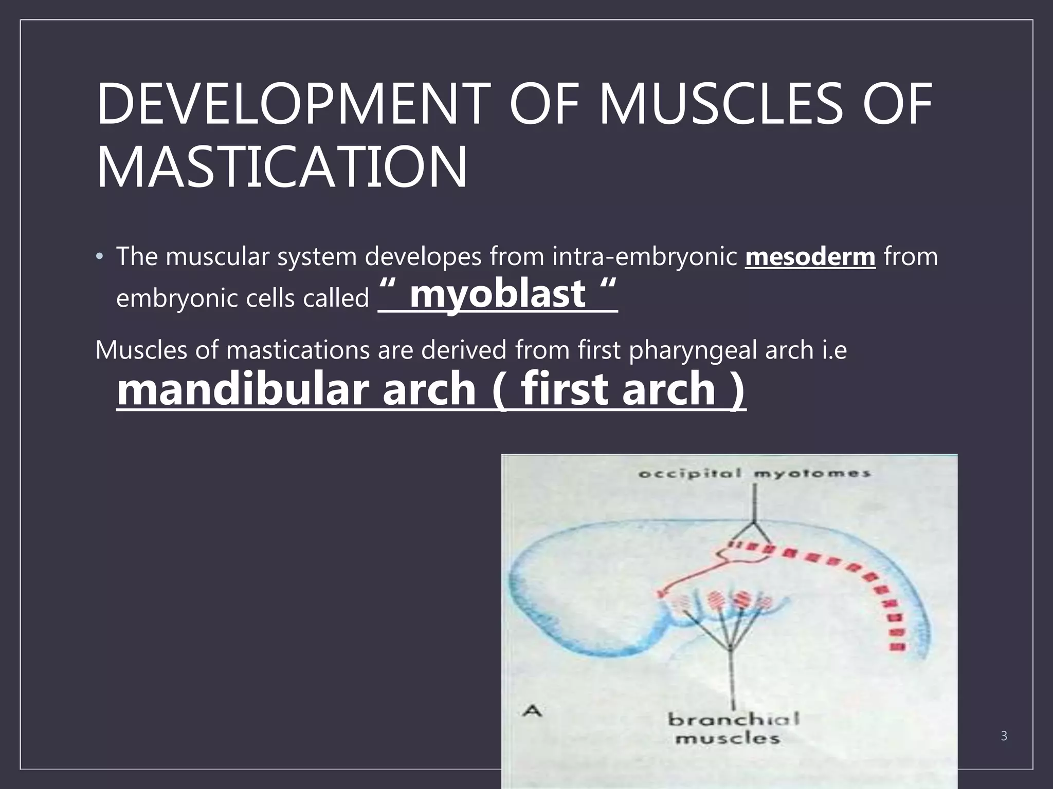 MUSCLES OF MASTICATION | PPTX