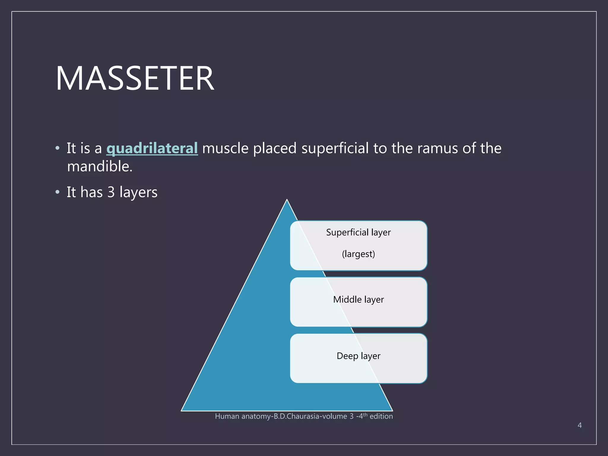 MUSCLES OF MASTICATION | PPTX