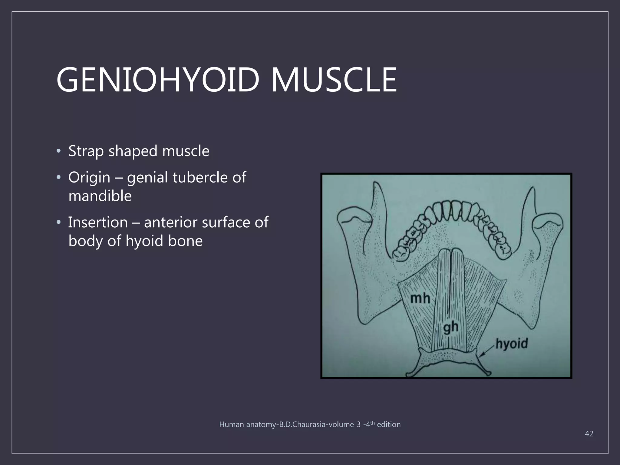 MUSCLES OF MASTICATION | PPTX