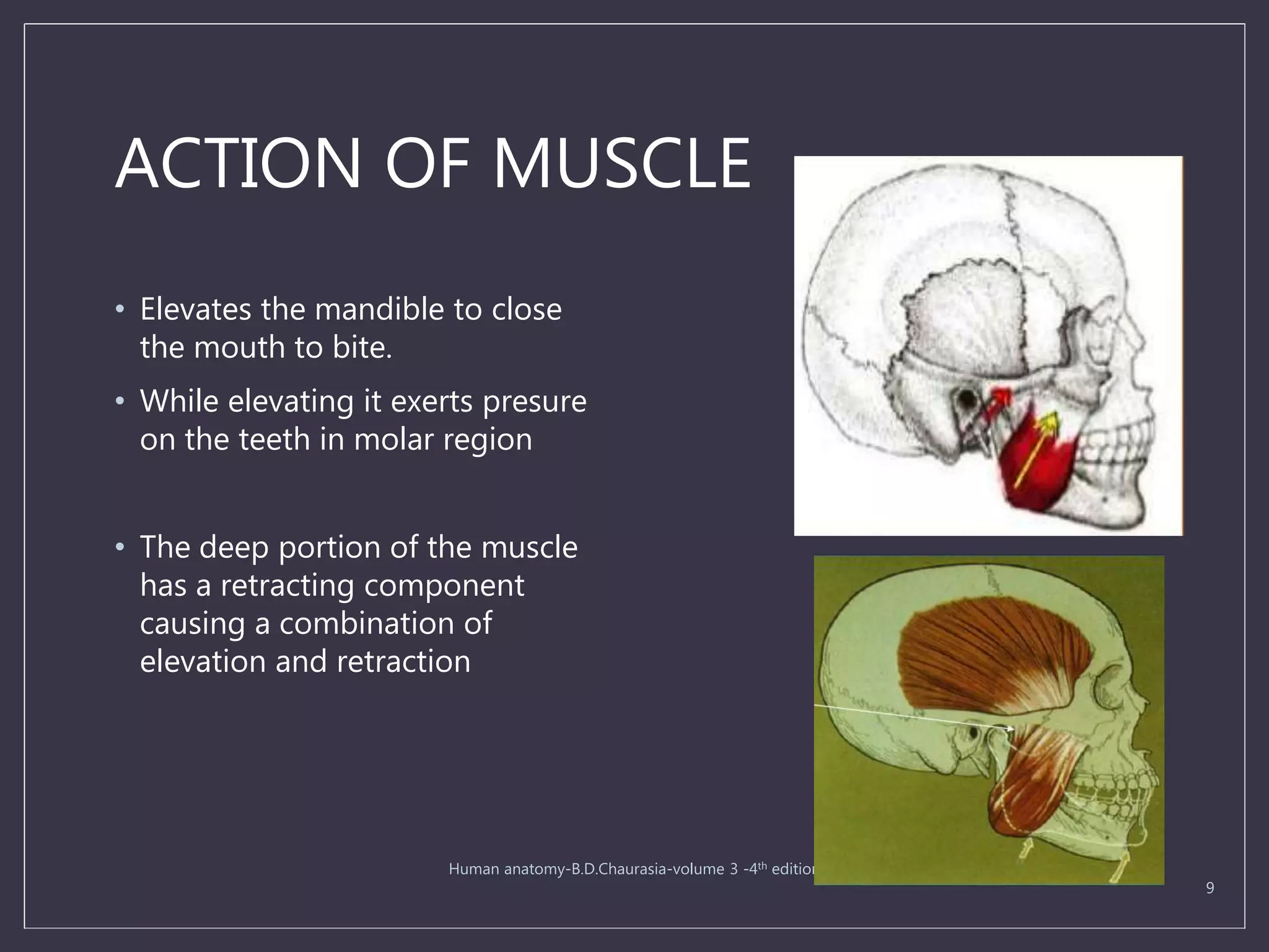 MUSCLES OF MASTICATION | PPTX