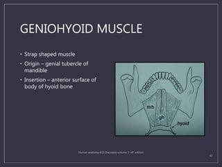MUSCLES OF MASTICATION | PPTX
