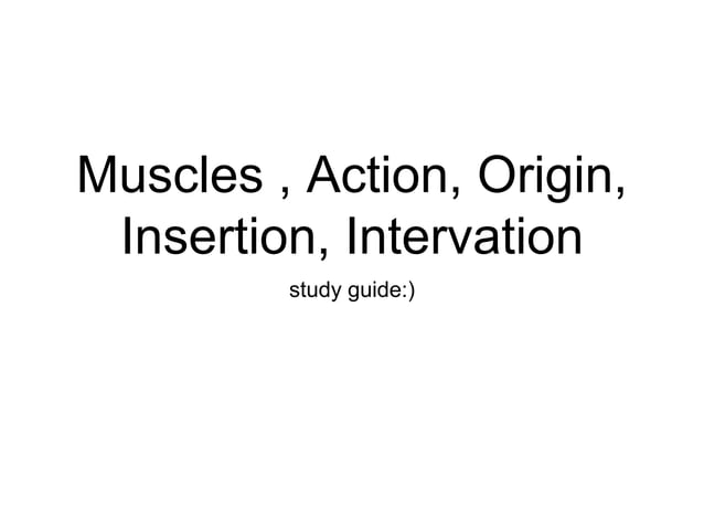 Muscles study guide word doc | PPT