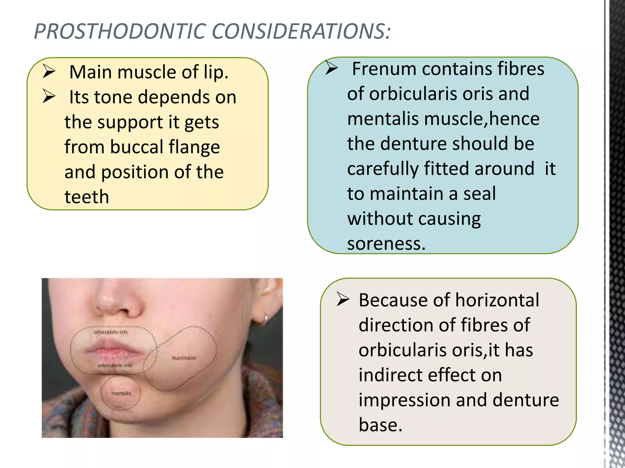 Muscles surrounding Complete Denture | PPTX