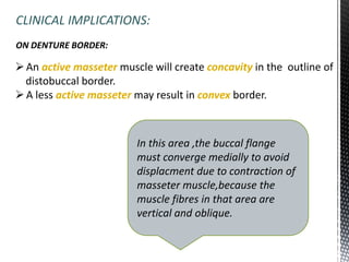 Muscles surrounding Complete Denture | PPTX
