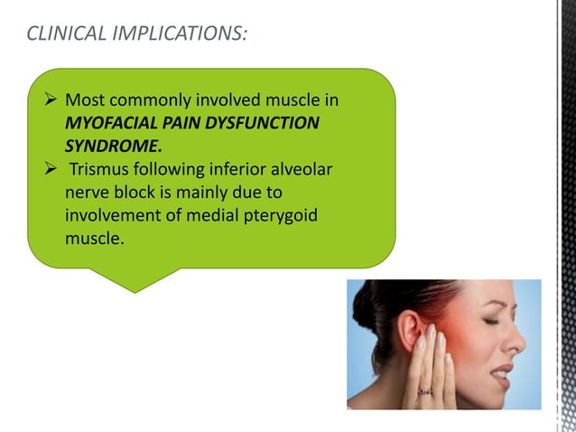 Muscles surrounding Complete Denture | PPTX