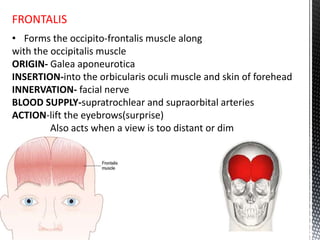 Muscles surrounding Complete Denture | PPTX