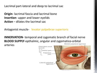 Muscles surrounding Complete Denture | PPTX