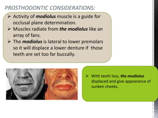 Muscles surrounding Complete Denture | PPTX