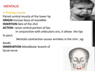 Muscles surrounding Complete Denture | PPTX