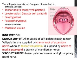 Muscles surrounding Complete Denture | PPTX
