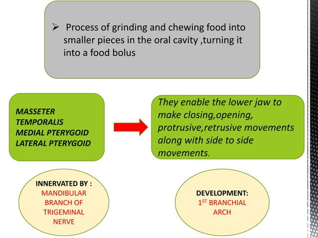 Muscles surrounding Complete Denture | PPTX