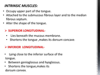 Muscles surrounding Complete Denture | PPTX
