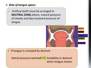 Muscles surrounding Complete Denture | PPTX