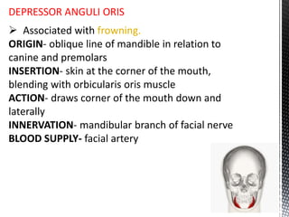 Depressor Anguli Oris Action