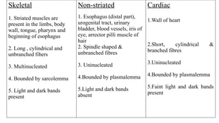 MUSCLES & TENDONS.pptx explanations and description | PPTX