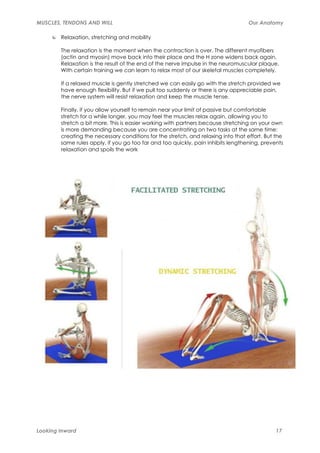 Muscles, tendons and will | PDF