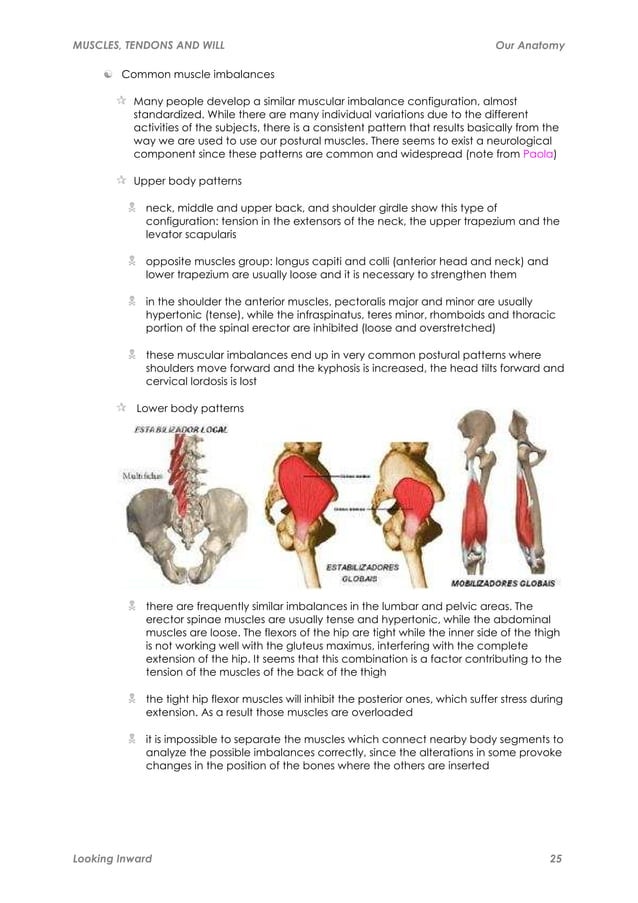 Muscles, tendons and will | PDF