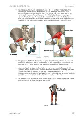 Muscles, tendons and will | PDF