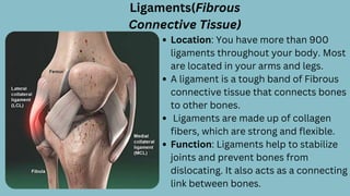 Muscles, tendons, Ligaments Grade 11 (1).pdf