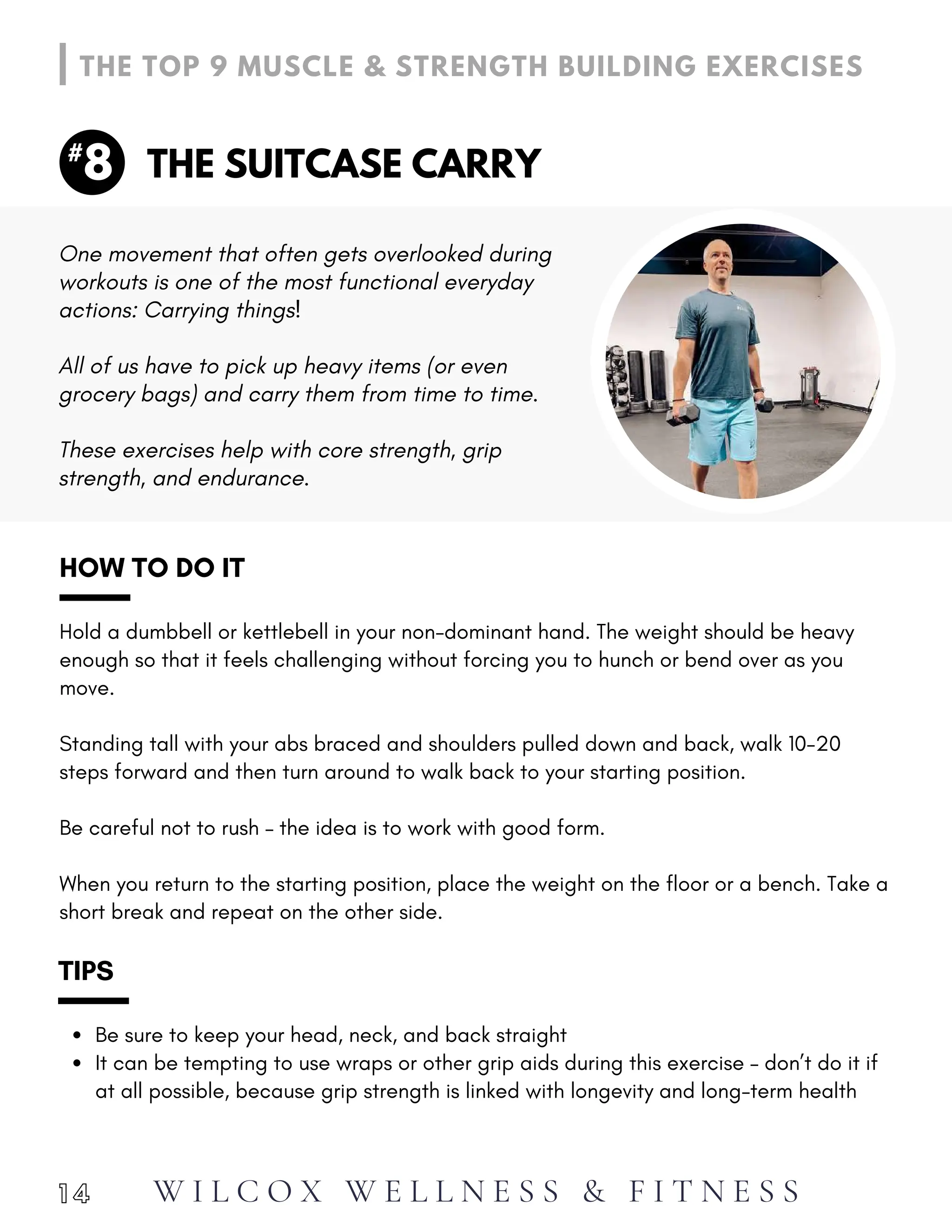 Muscle & Strength Building Exercises | PDF