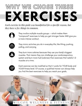 Muscle & Strength Building Exercises | PDF