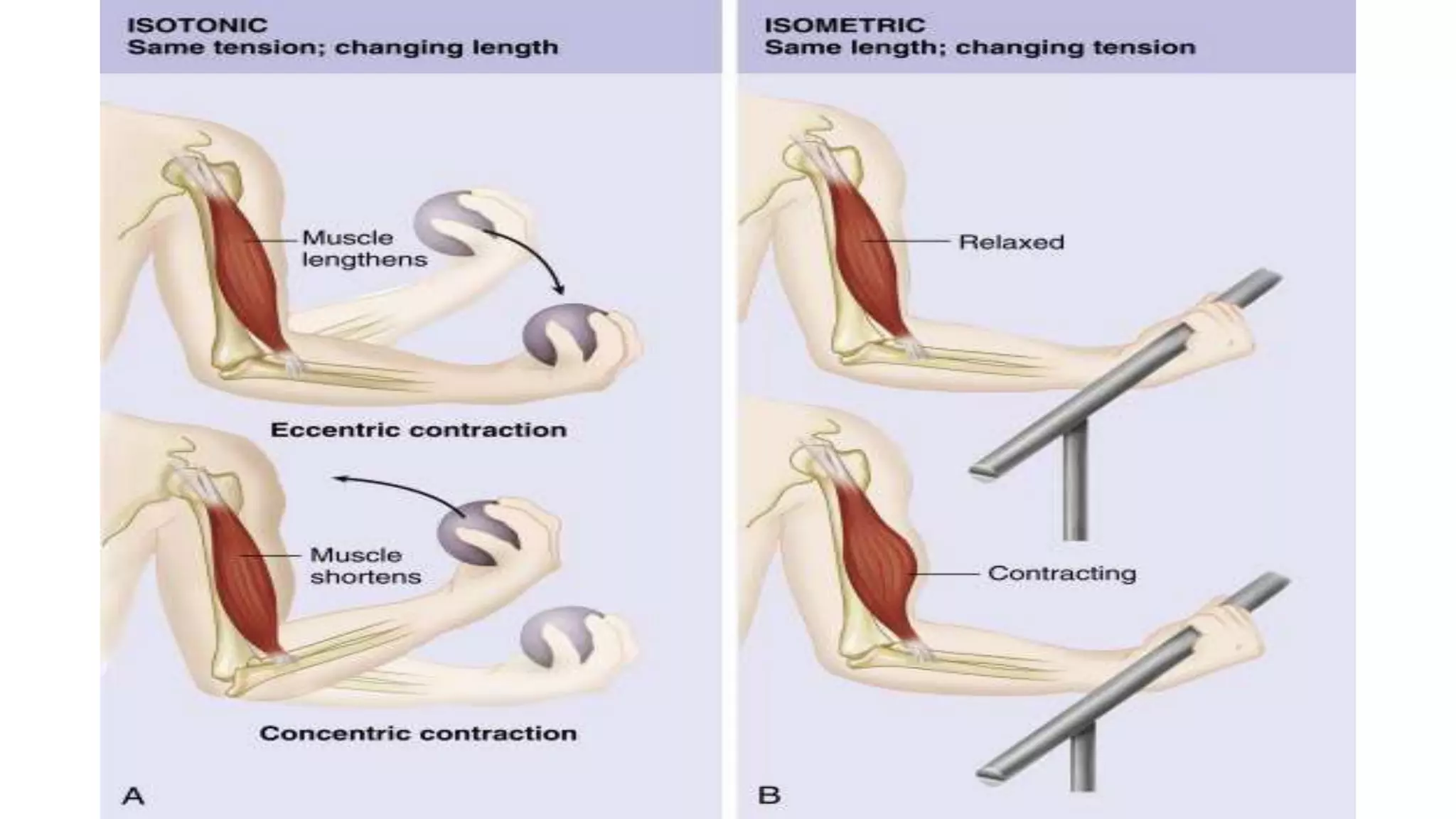 Range of motion and muscle strengthening exercises | PPTX