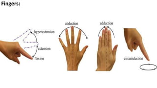 Range of motion and muscle strengthening exercises | PPTX