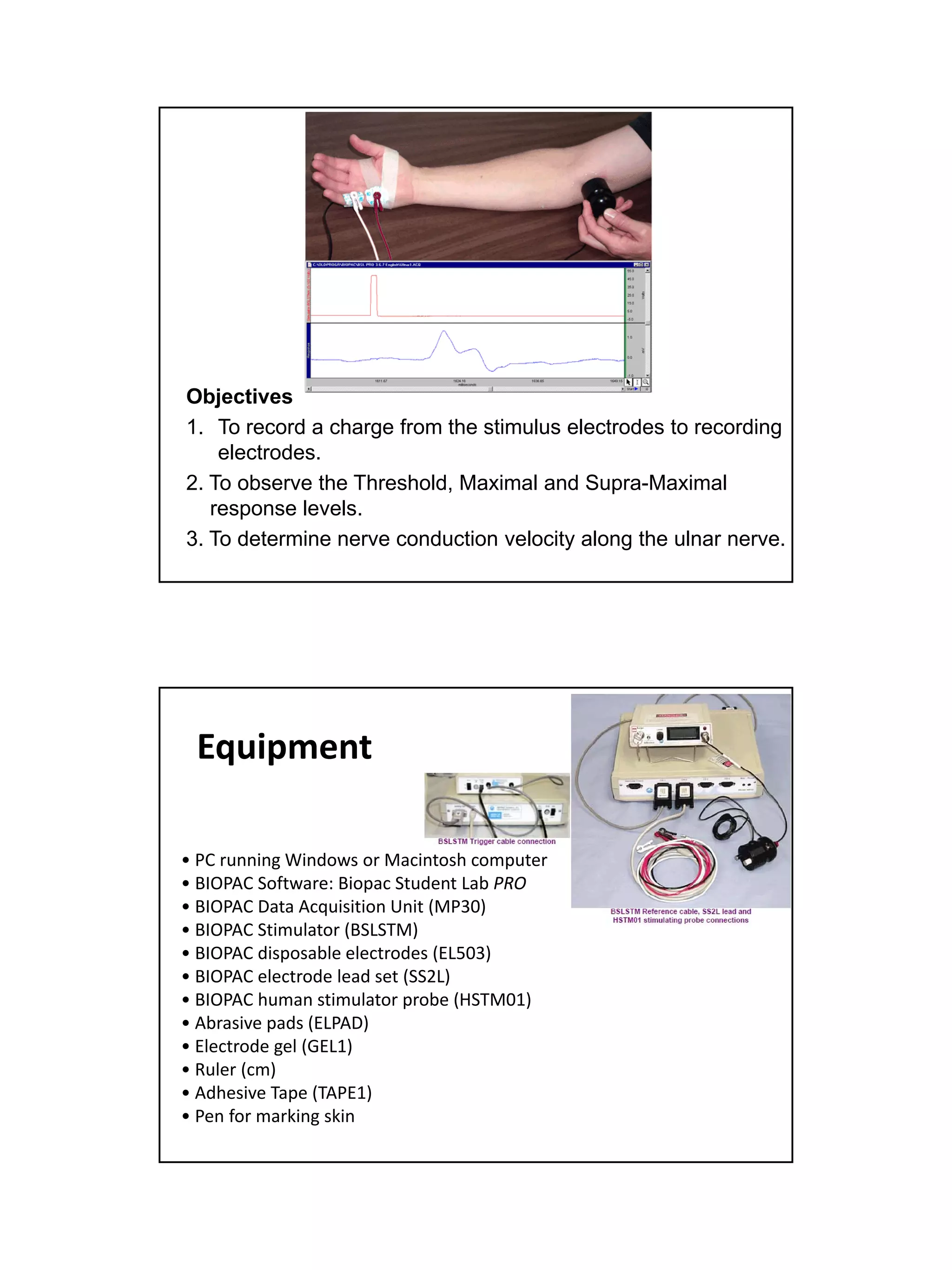 Muscle stretch reflex | PDF