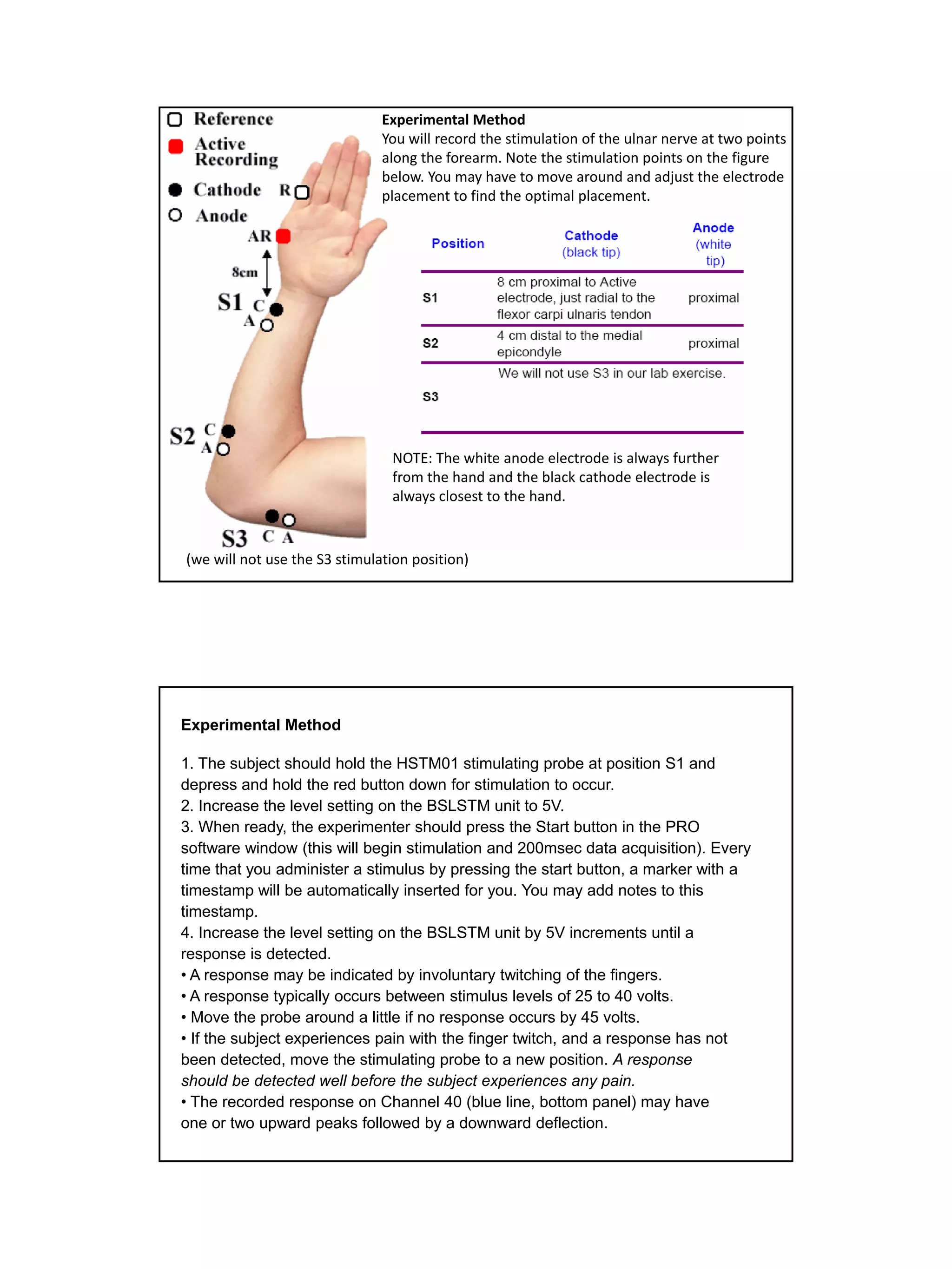 Muscle stretch reflex | PDF