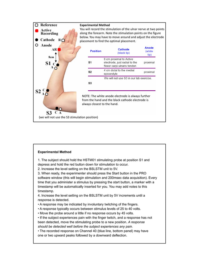 Muscle stretch reflex | PDF