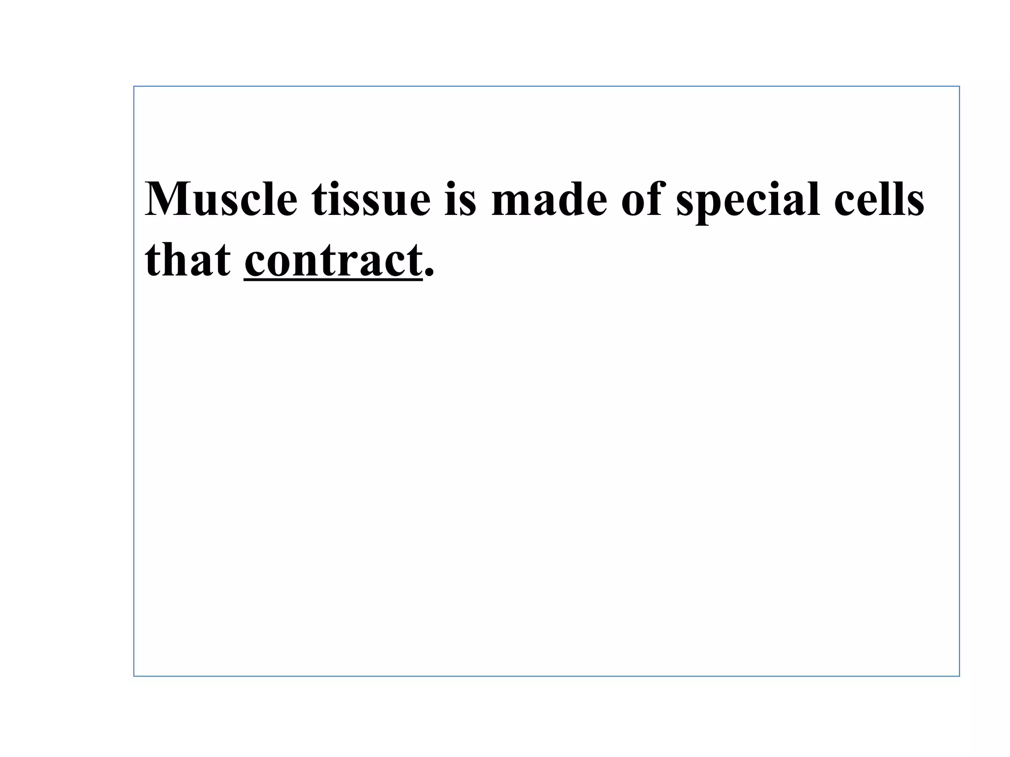 Muscle structure | PPT