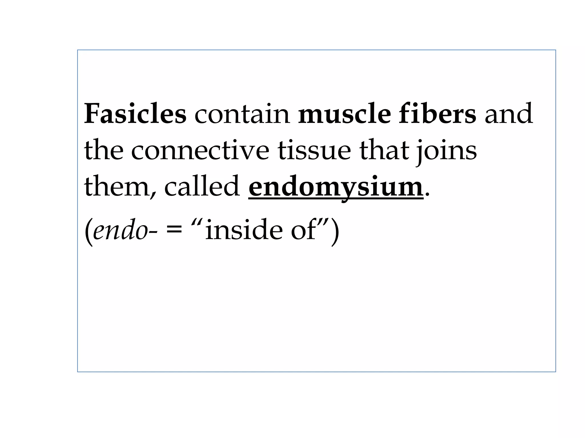 Muscle structure | PPT