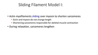 musclestructutureclassificationproperty-201124130921.pptx