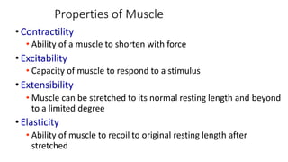 musclestructutureclassificationproperty-201124130921.pptx