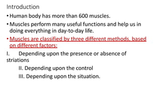 musclestructutureclassificationproperty-201124130921.pptx