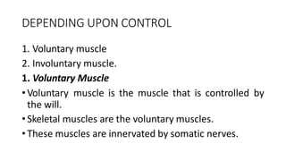 musclestructutureclassificationproperty-201124130921.pptx