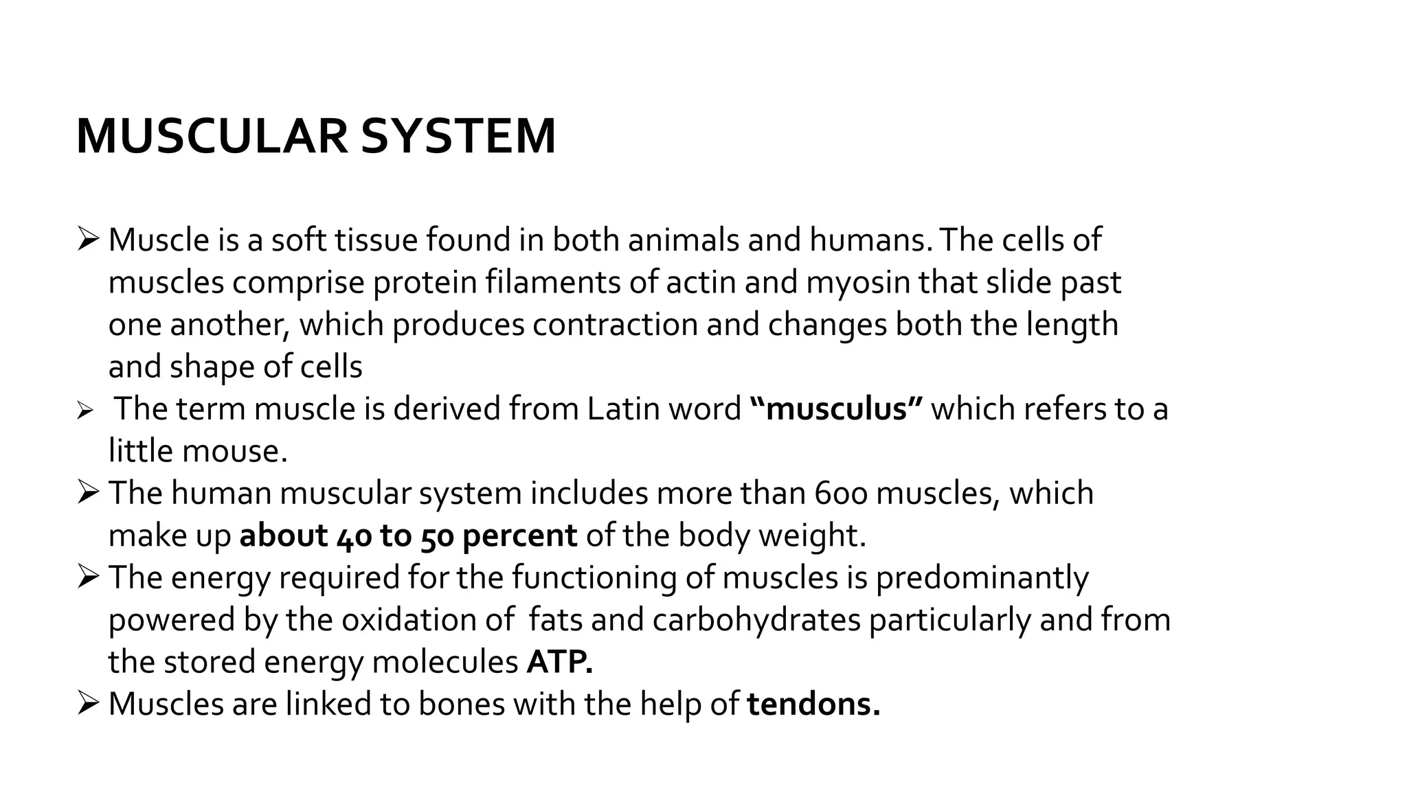 Muscle Introduction and molecular structure.ppt