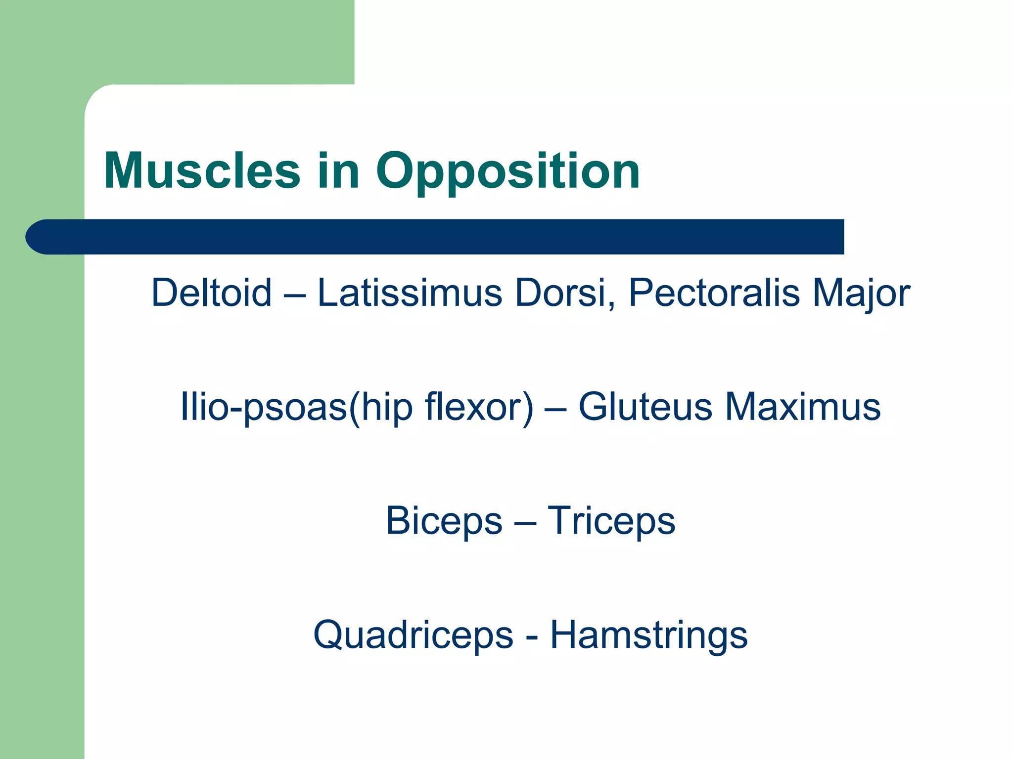 Muscles working | PPT