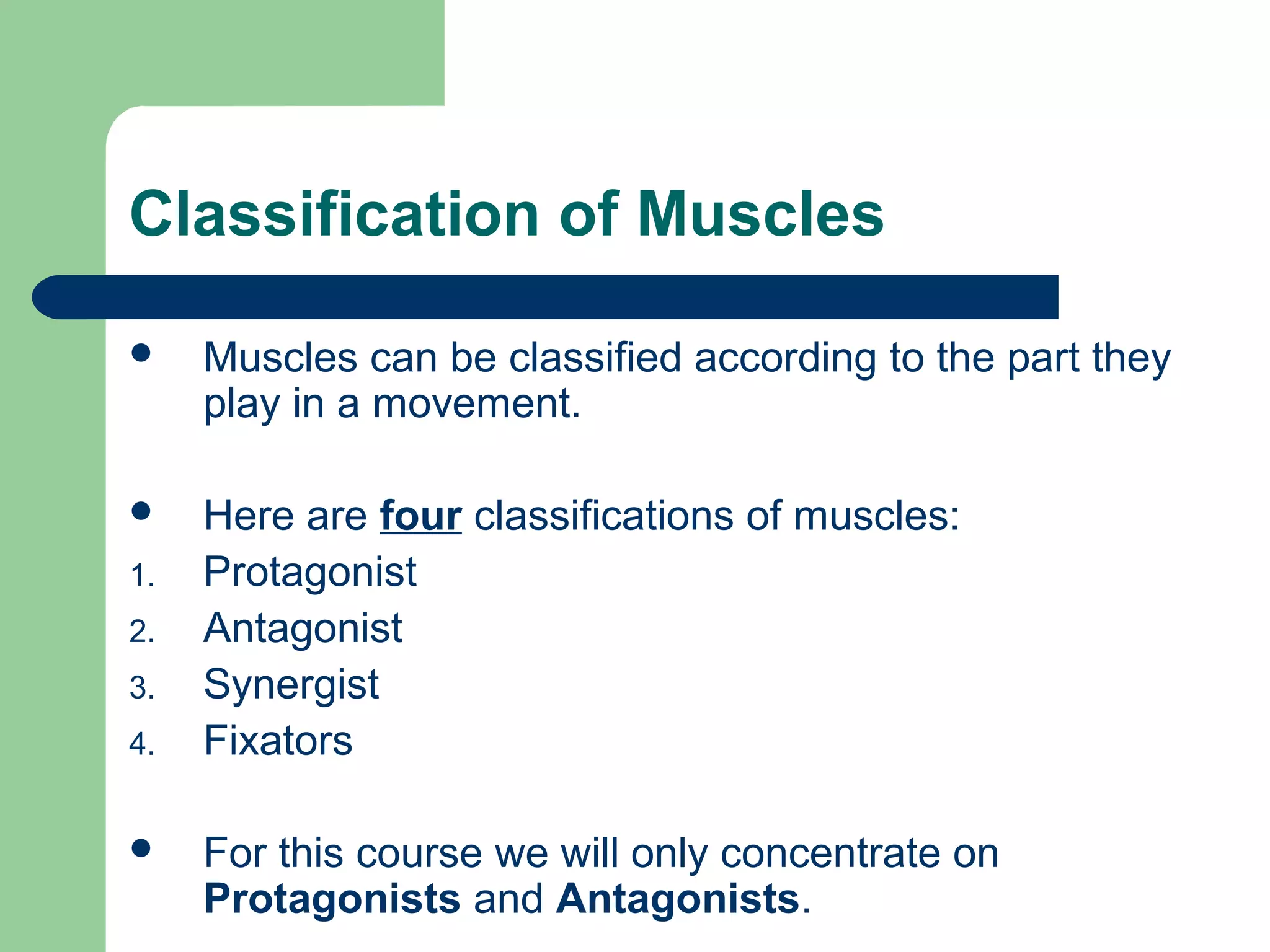 Muscles working | PPT